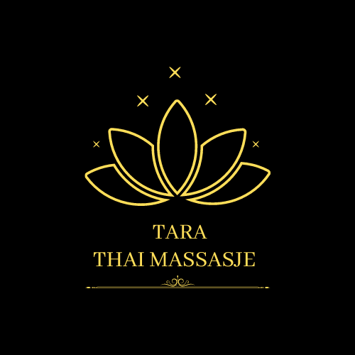 Web Reservation by Timma