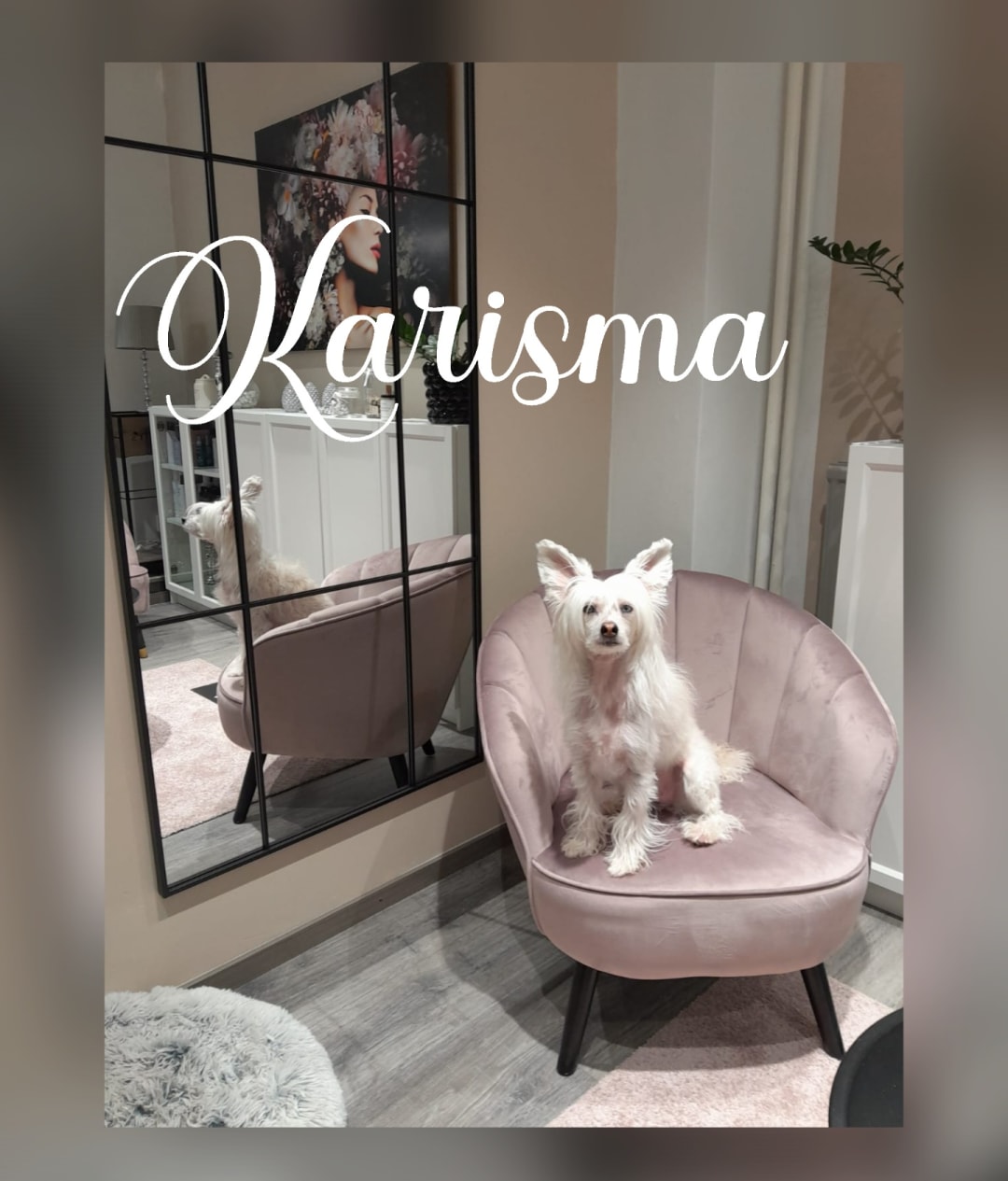 Kampaukset Tampere | Timma